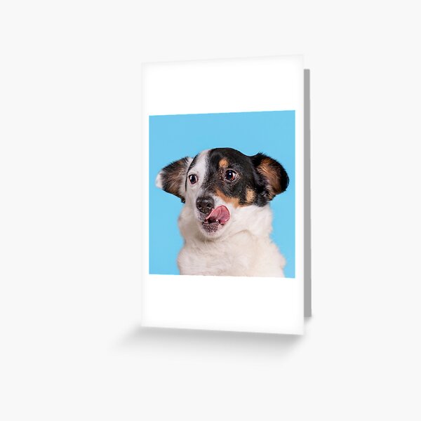 "Sadsac Designs - For the love of a Jack Russell Terrier" Greeting Card ...