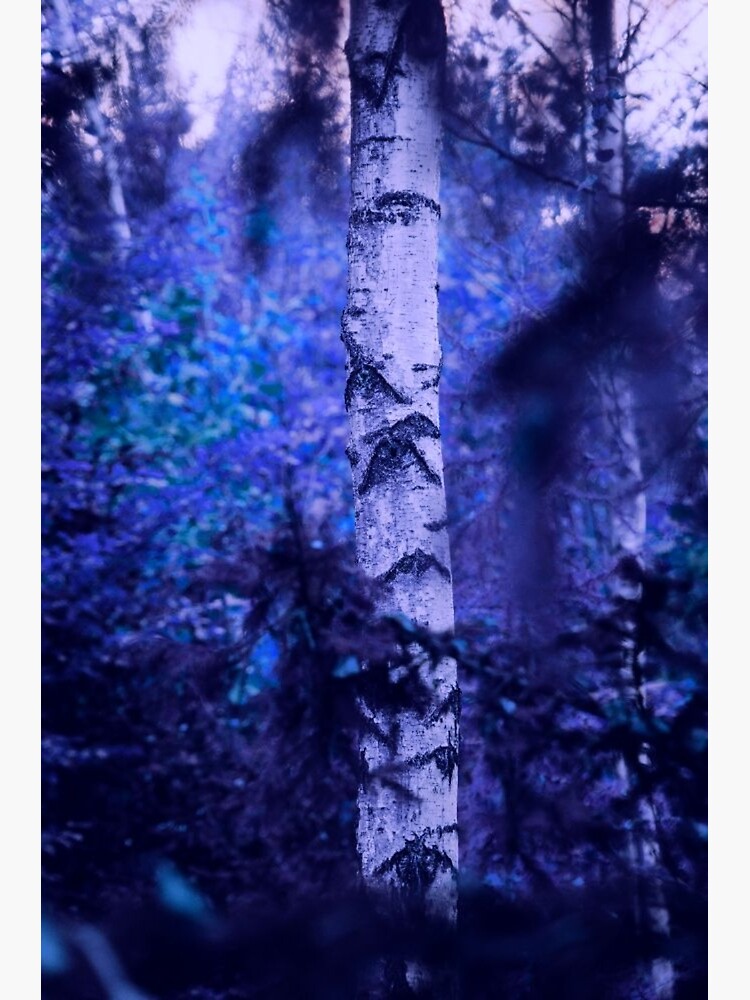 "Magic blue forest" Poster for Sale by TheScandiBrand | Redbubble