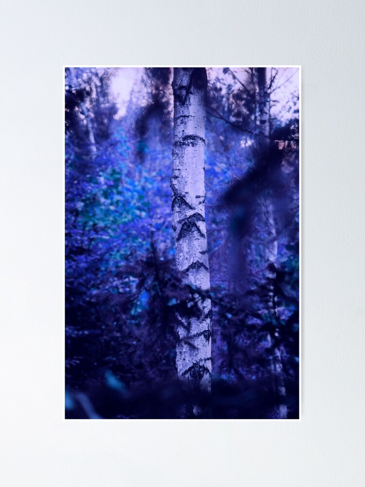 "Magic blue forest" Poster for Sale by TheScandiBrand | Redbubble