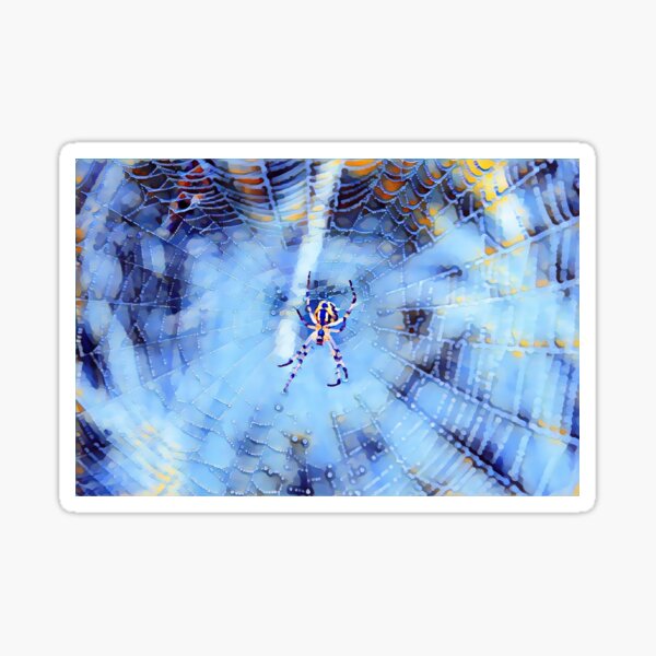 "spider web" Sticker for Sale by FakeArts | Redbubble