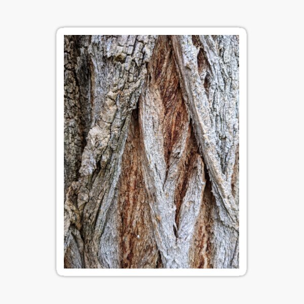 "bark" Sticker for Sale by lolypopcorn | Redbubble