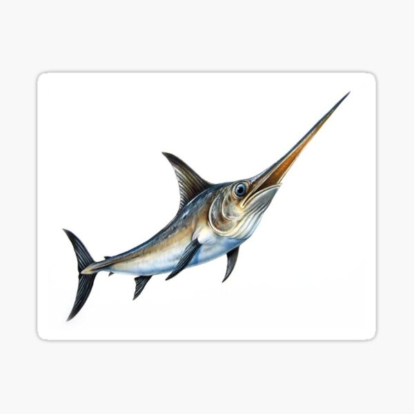 "Swordfish" Sticker by ando23 | Redbubble