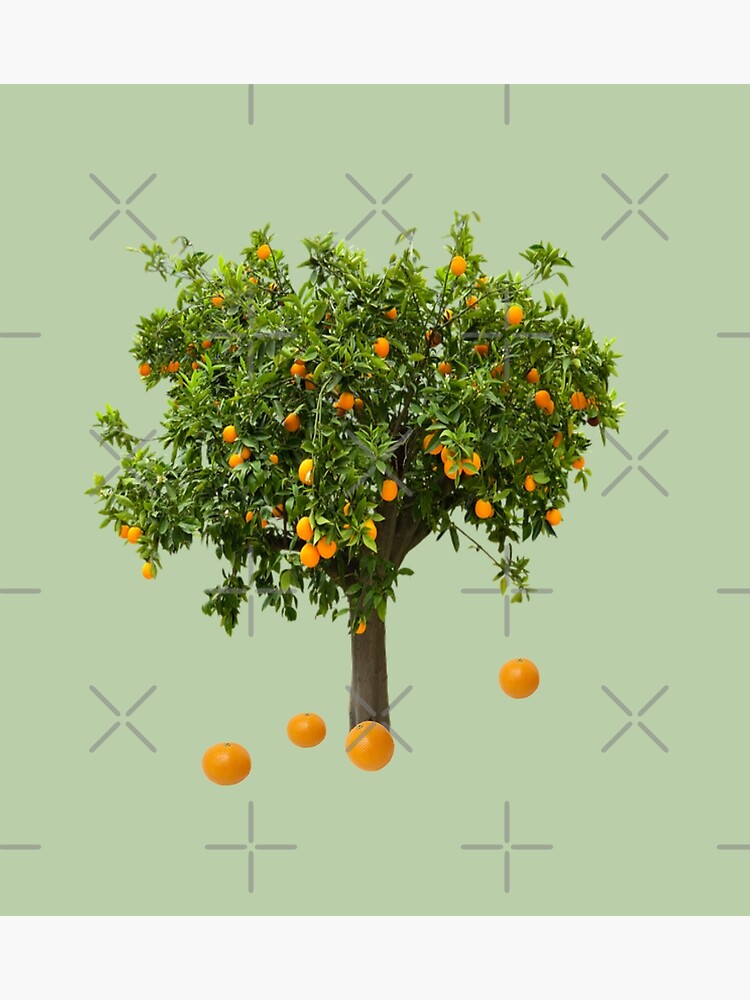 "Orange Falling From Orange tree" Poster for Sale by atroffire | Redbubble
