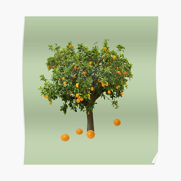 "Orange Falling From Orange tree" Poster for Sale by atroffire | Redbubble