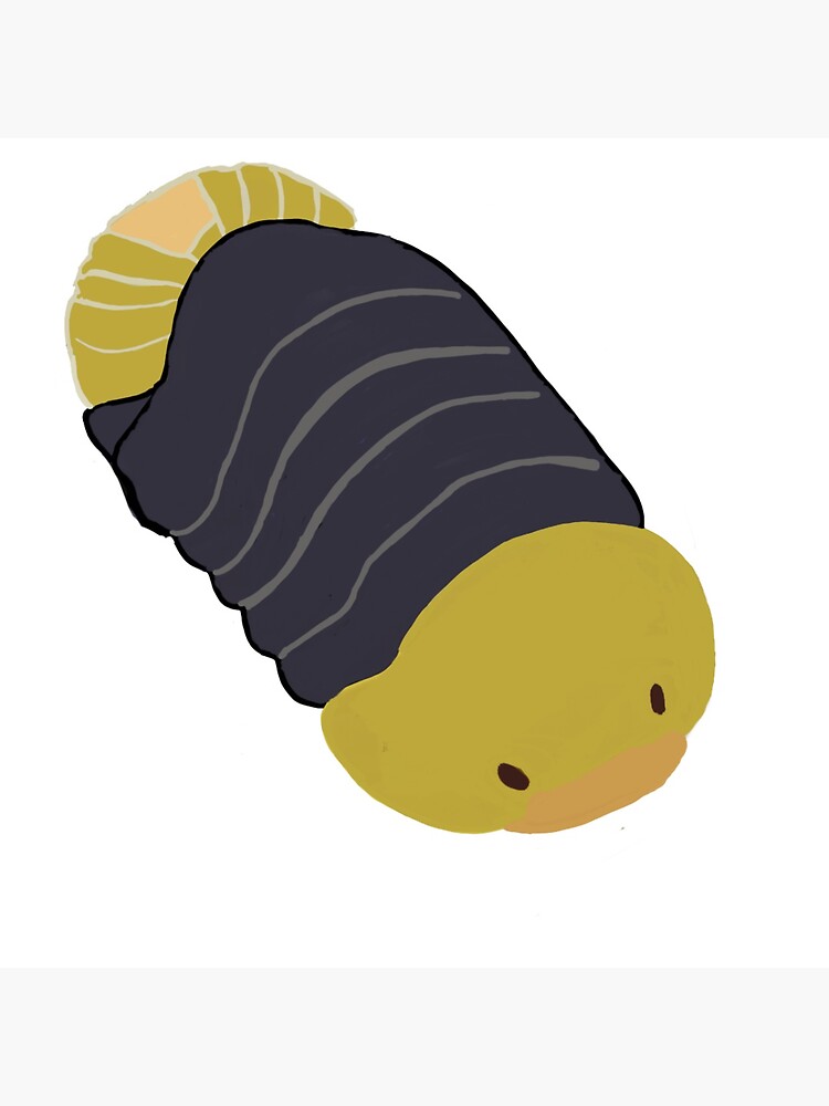 "Rubber Ducky Isopod Cubaris SP " Sticker for Sale by Mduca2816 | Redbubble
