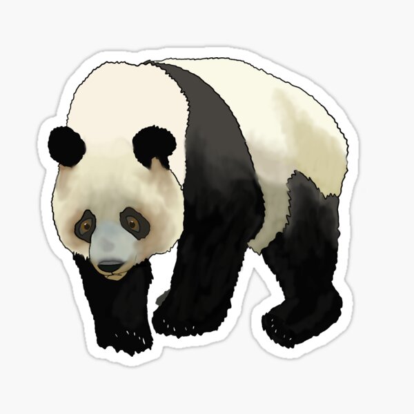 "Panda Bear" Sticker for Sale by roleydesigns | Redbubble