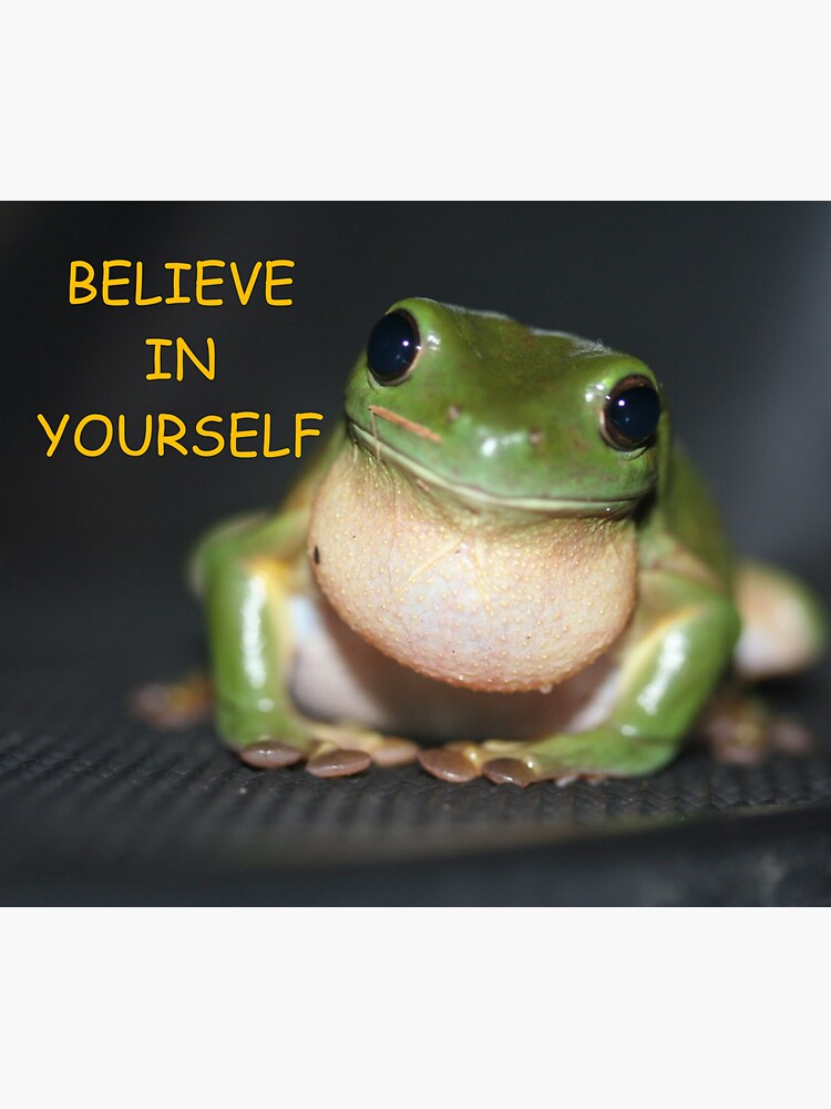 ""Inspirational" Frog " Sticker for Sale by megncheezdesign | Redbubble