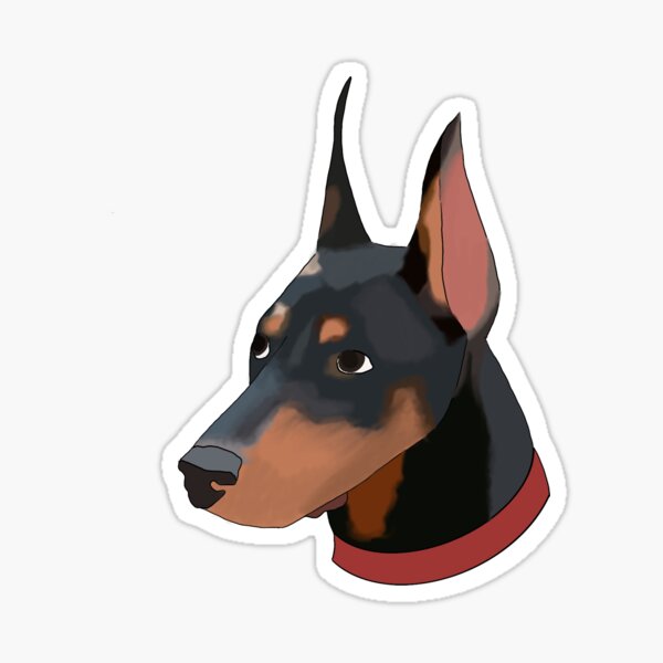 "Doberman Dog Face " Sticker by roleydesigns | Redbubble