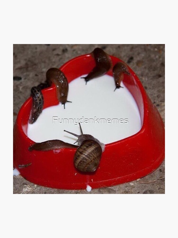 "Cursed Snail in the Milk" Sticker for Sale by Funnydankmemes | Redbubble