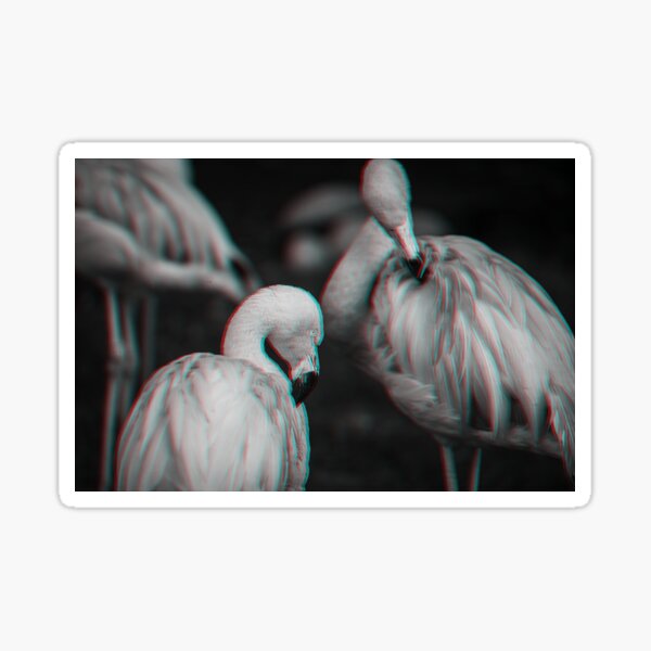 "birds artwork" Sticker for Sale by rookee17 | Redbubble