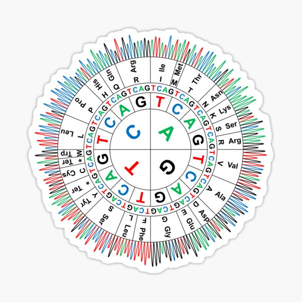 "Sanger Codon Circle" Sticker by dansdna | Redbubble