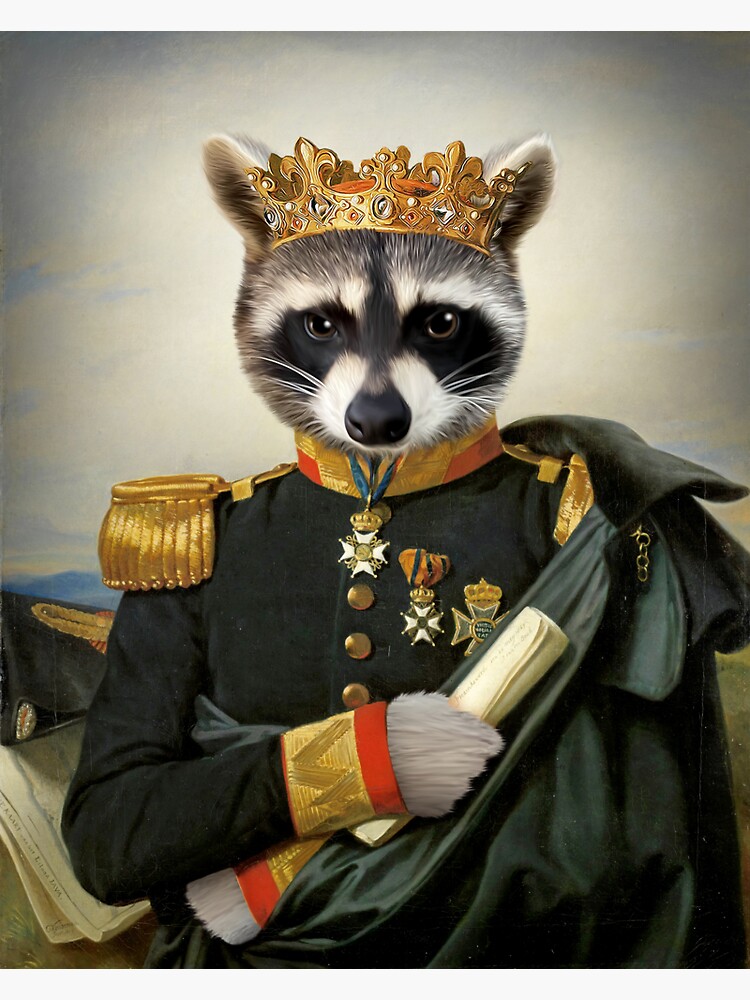 "King Raccoon " Sticker for Sale by 101PawsAndClaws | Redbubble