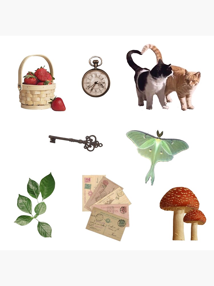 "cottagecore items pack " Poster for Sale by celestivl | Redbubble