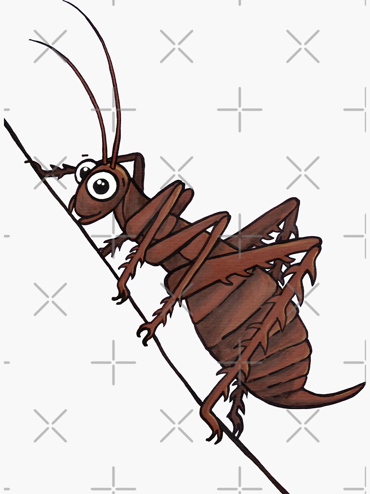 "Cute NZ Weta - clock ft. Te Reo Maori numbers" Sticker for Sale by ...