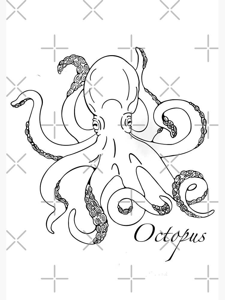 "Octopus Line Art " Sticker by Svetlama | Redbubble