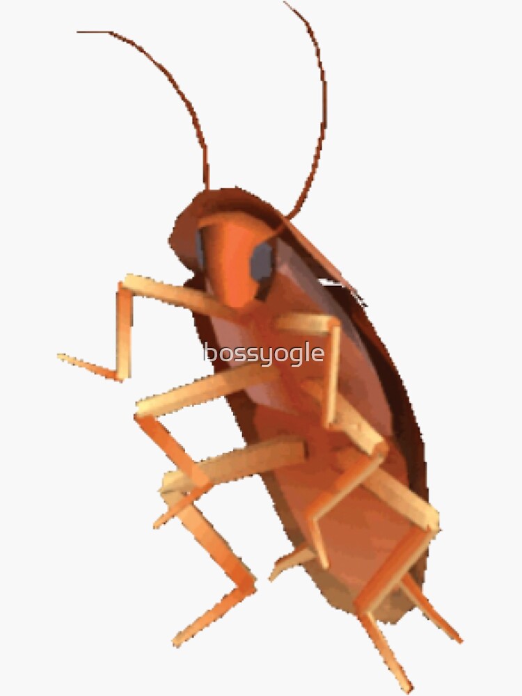 "Dancing Cockroach Meme" Sticker for Sale by bossyogle | Redbubble