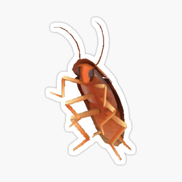 "Dancing Cockroach Meme" Sticker for Sale by bossyogle | Redbubble