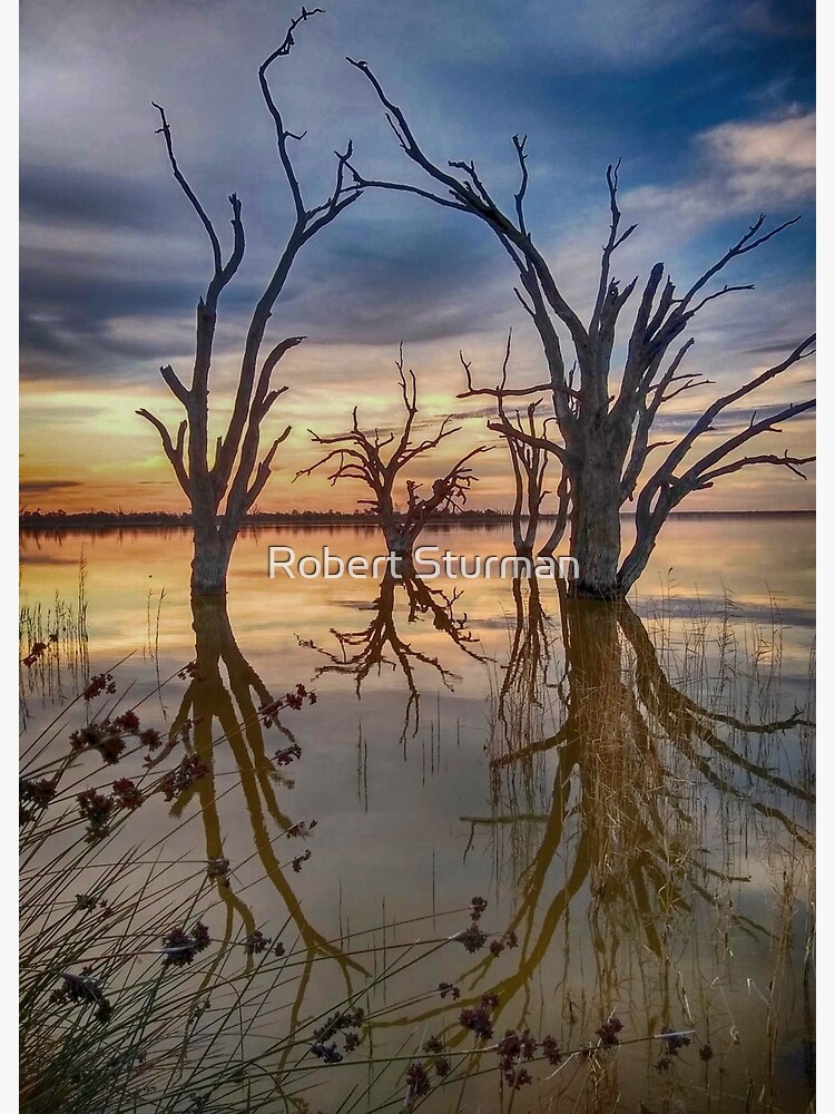 "Lake Bonney South Australia" Poster for Sale by robst | Redbubble