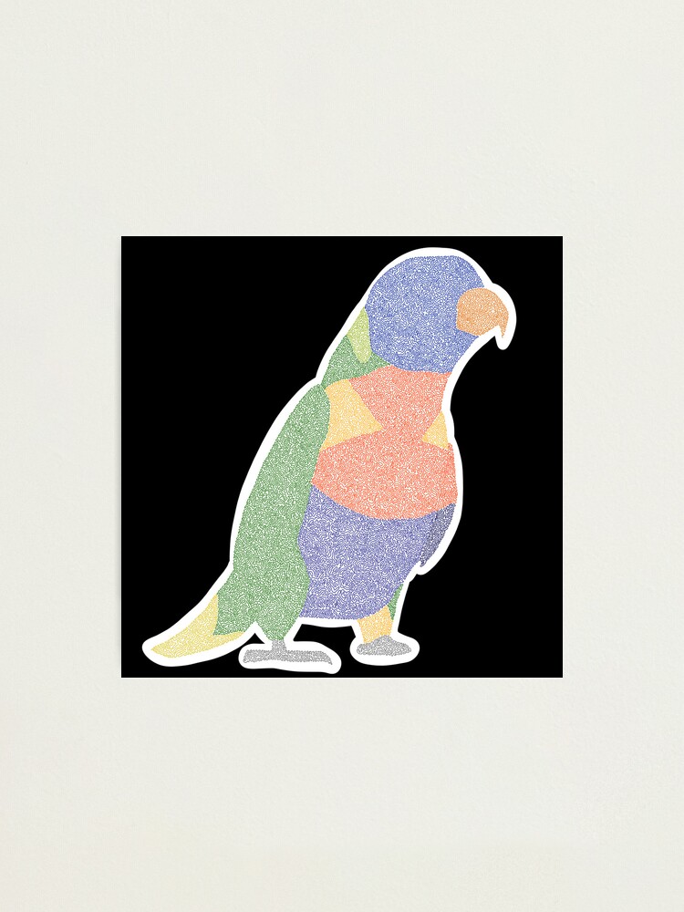 "Rainbow Lorikeet single line drawing" Photographic Print for Sale by ...