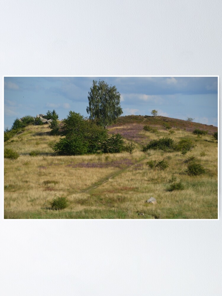 "Prairie grassland scenic place" Poster for Sale by VJArtService ...