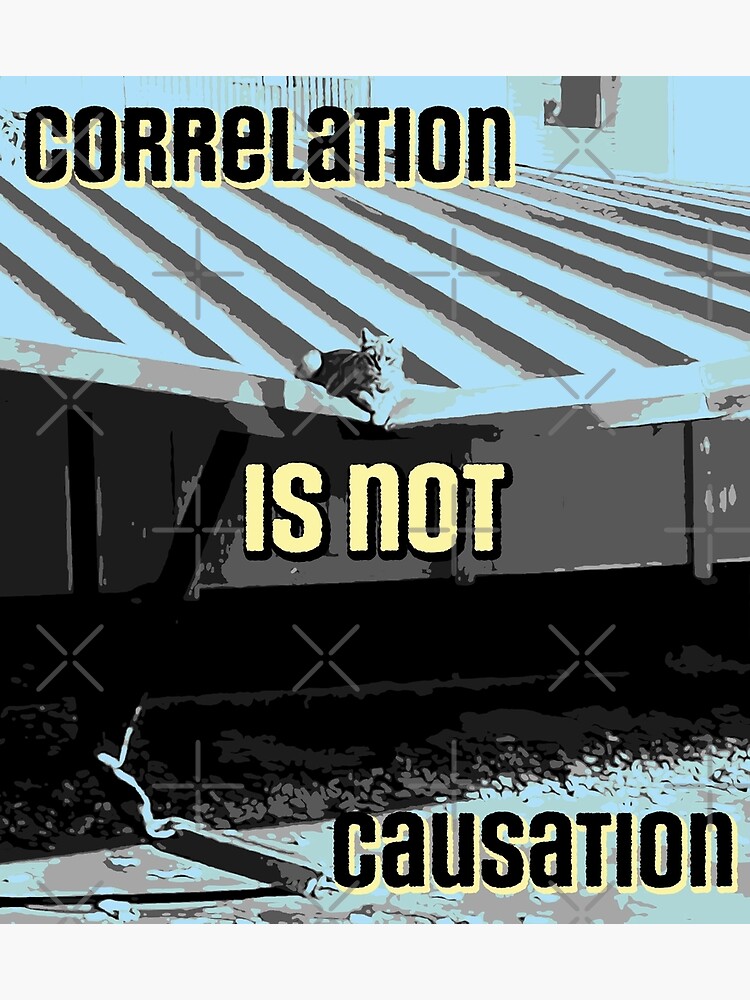 "Correlation is not Causation cat" Poster for Sale by mywifesidea ...