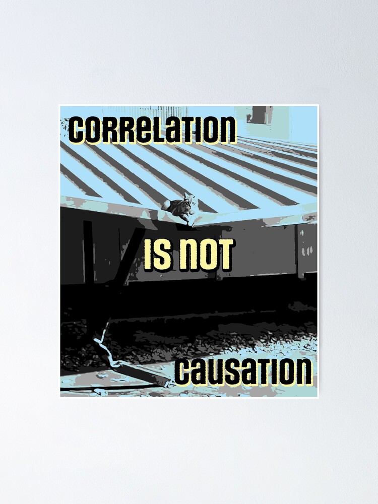 "Correlation is not Causation cat" Poster for Sale by mywifesidea ...
