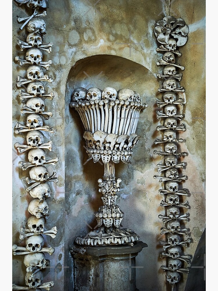"Sedlec Ossuary Chalice Photo Art, Skull Bone Church, Halloween Skull ...