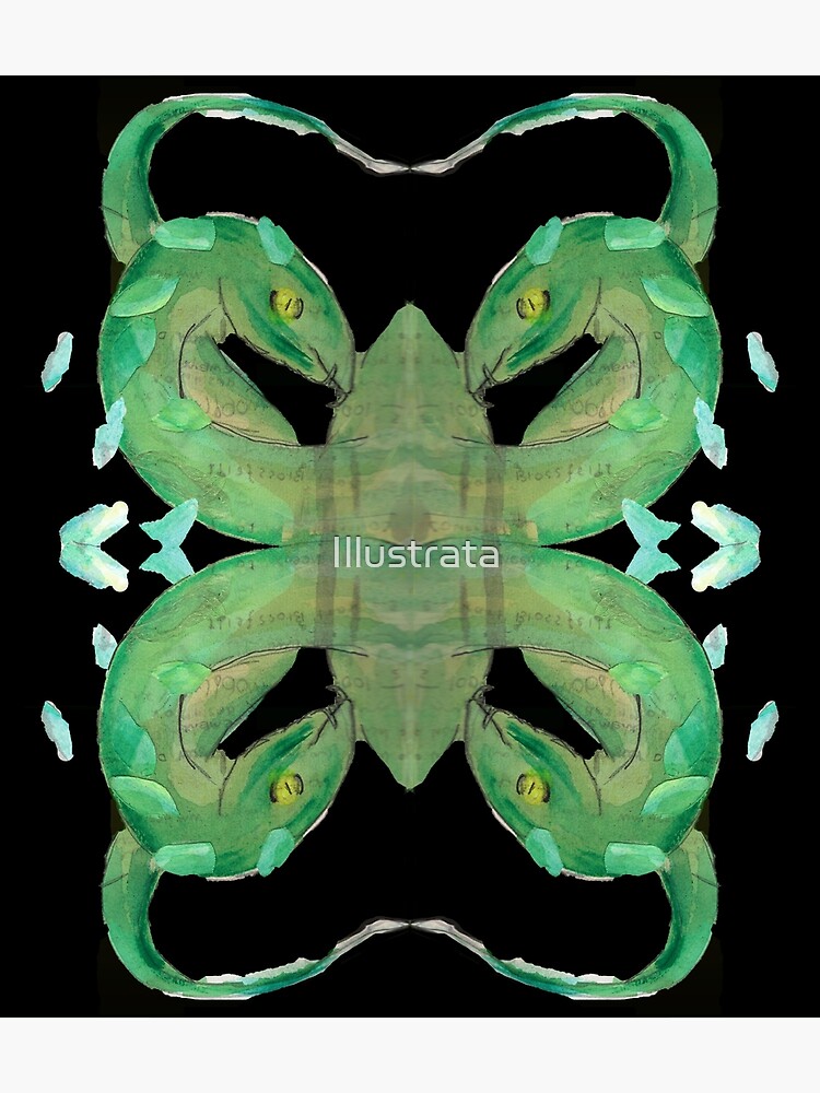 "Four Headed Snake II" Poster by Illustrata | Redbubble