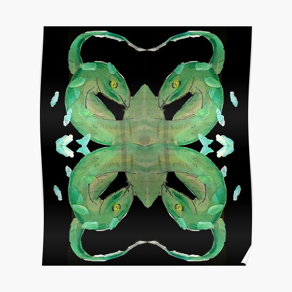 "Four Headed Snake II" Poster by Illustrata | Redbubble