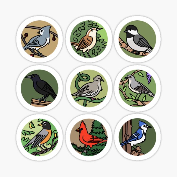 "Backyard Birds Stickerpack" Sticker for Sale by OriginalRye | Redbubble