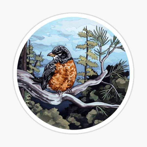 "American Robin" Sticker by libberkib | Redbubble