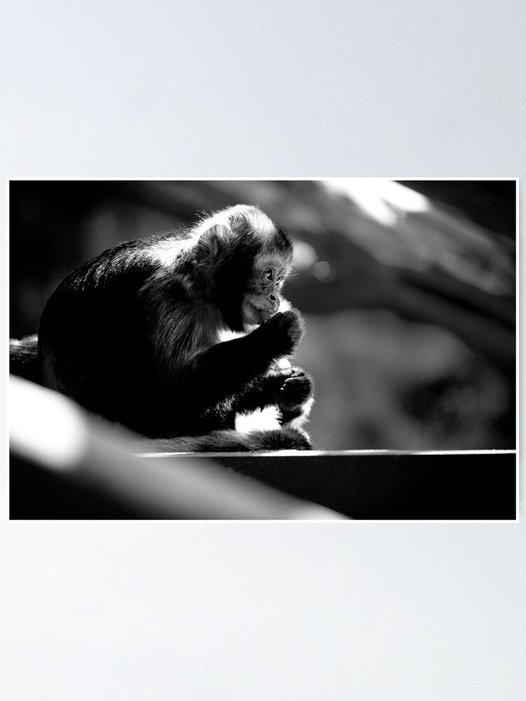 "Rumble In My Tummy (Monochrome)" Poster for Sale by DoodleBugImages ...