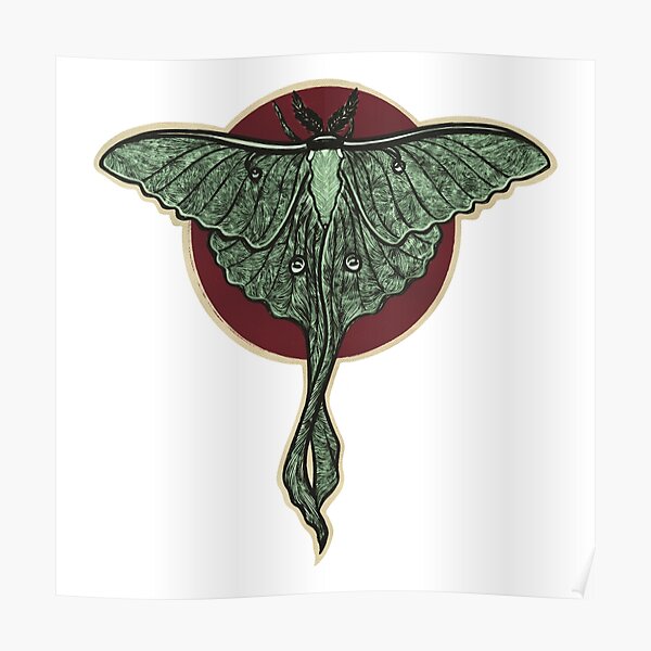 "Luna Moon Moth (Giant Silk Moth)" Poster for Sale by MischaDraws ...