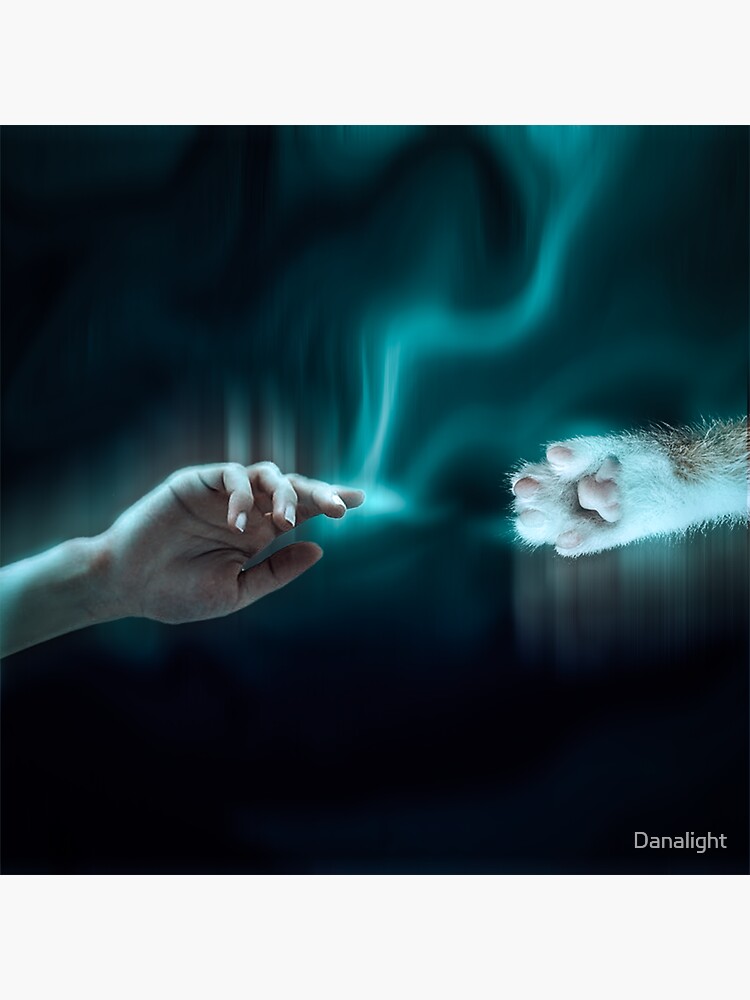 "cat foot hand man" Sticker for Sale by Danalight | Redbubble