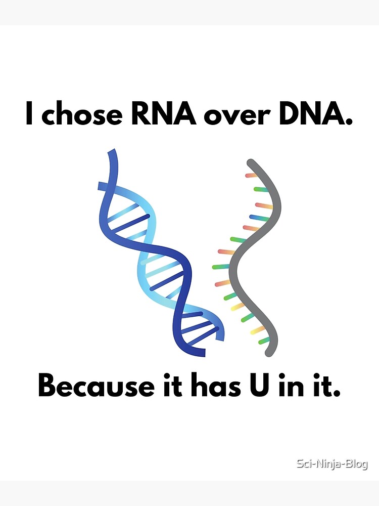 "RNA DNA Science Valentines Joke" Poster for Sale by Sci-Ninja-Blog ...