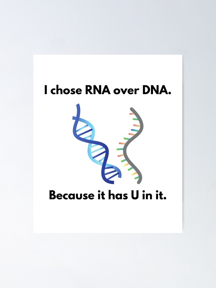 "RNA DNA Science Valentines Joke" Poster for Sale by Sci-Ninja-Blog ...