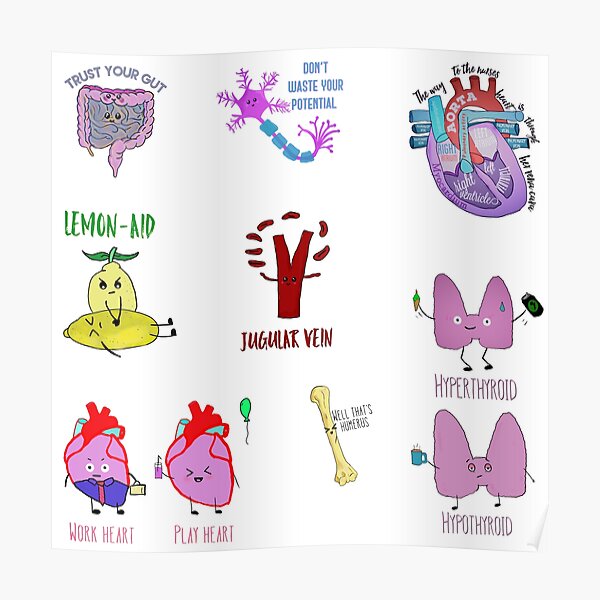 "Medical puns" Poster by Tamm-art | Redbubble