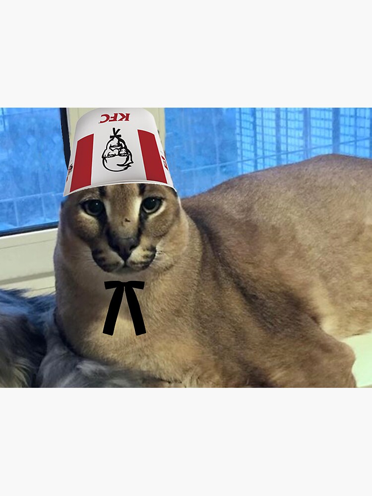 "Floppa Bucket Funny Cat " Sticker by eddieboylan | Redbubble