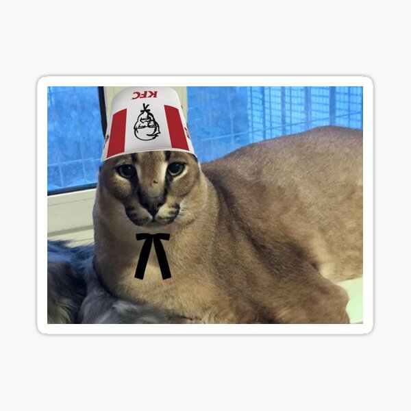 "Floppa Bucket Funny Cat " Sticker by eddieboylan | Redbubble