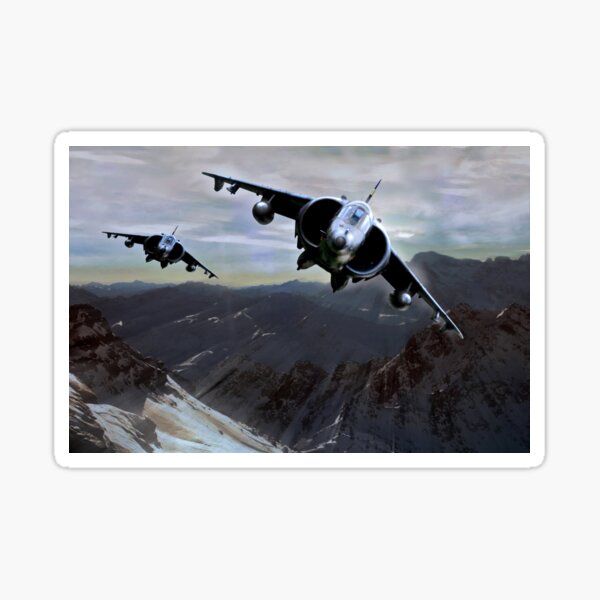 "Harrier Hunters" Sticker for Sale by bmphoto | Redbubble