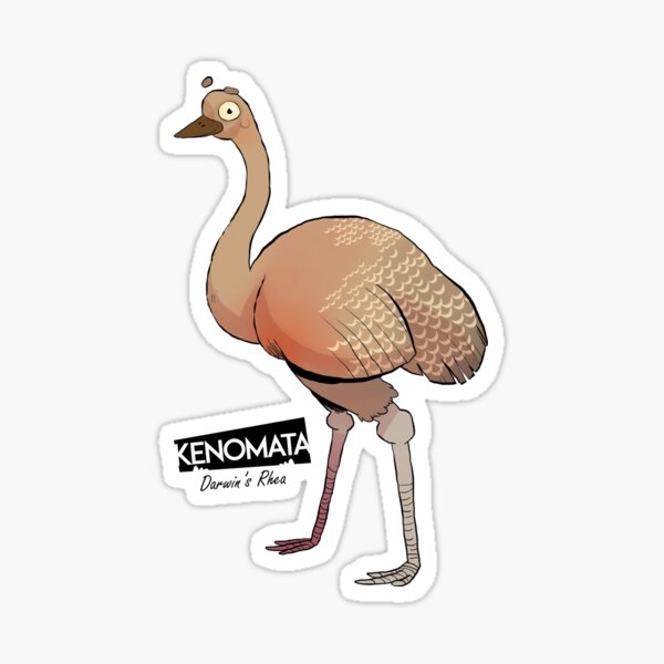 "Darwin's Rhea" Sticker for Sale by Kenomata | Redbubble