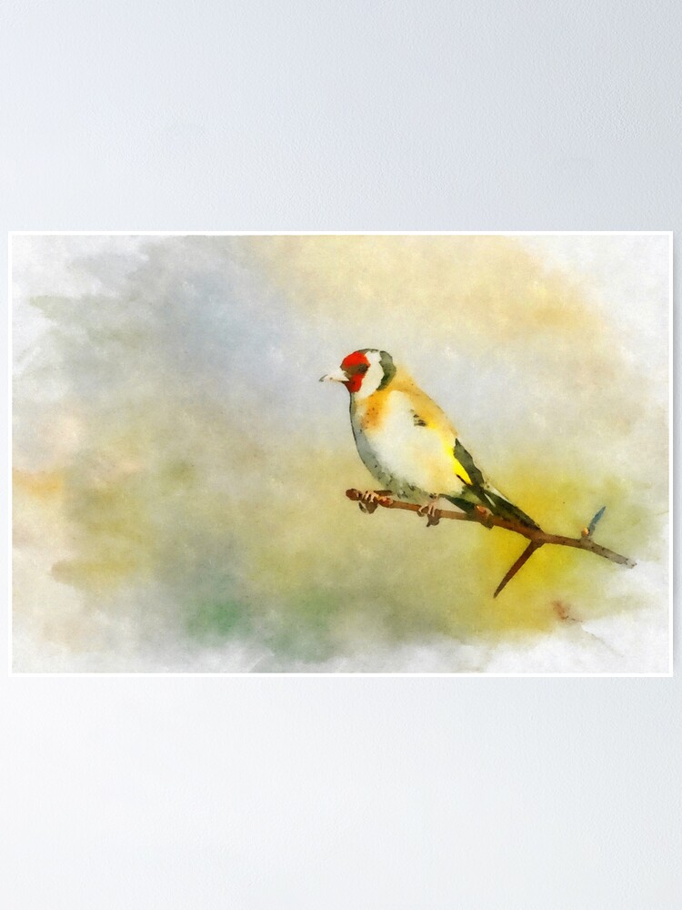 "Lovely little bird. digital watercolor" Poster for Sale by Calaimatge ...