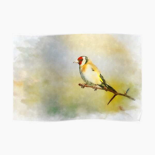 "Lovely little bird. digital watercolor" Poster for Sale by Calaimatge ...