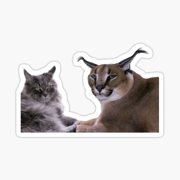 "Floppa with Friend" Sticker by MemeDealer3 | Redbubble