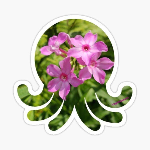 Olly The Oleander Octopus Sticker For Sale By Virgothequeen91 Redbubble