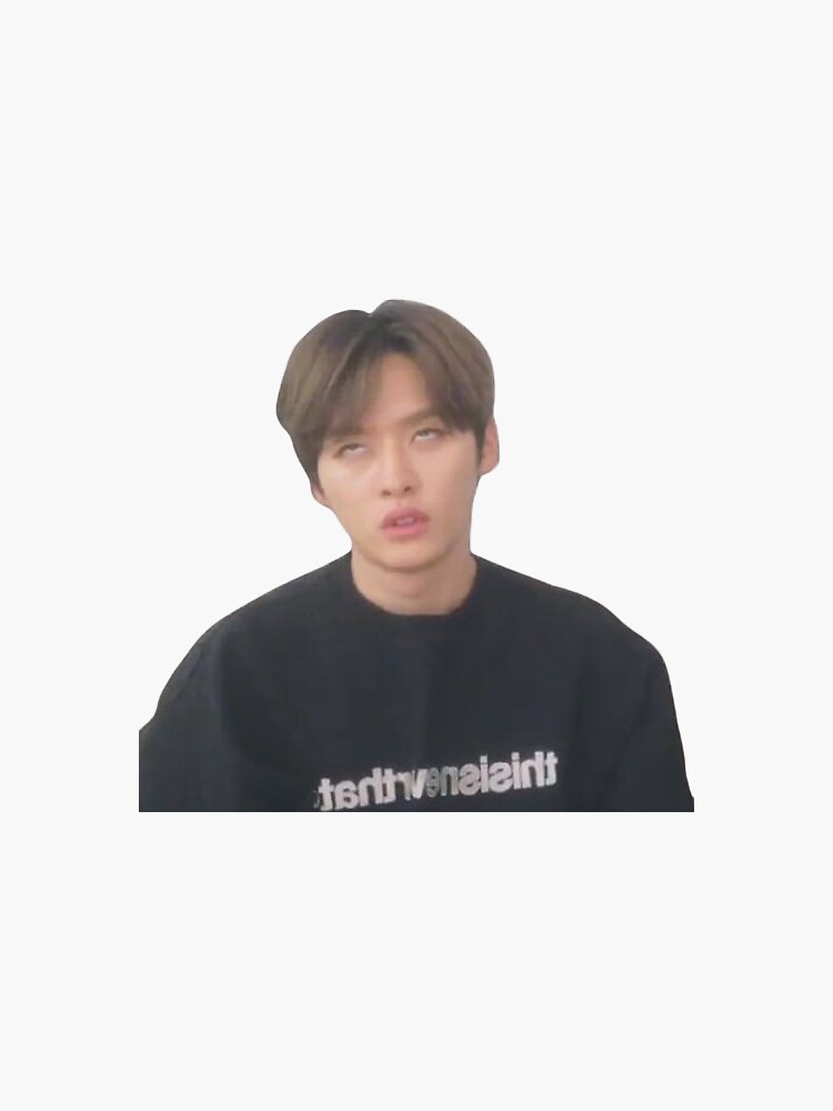"Stray Kids Lee Know meme sticker" Sticker for Sale by borahae0613 ...