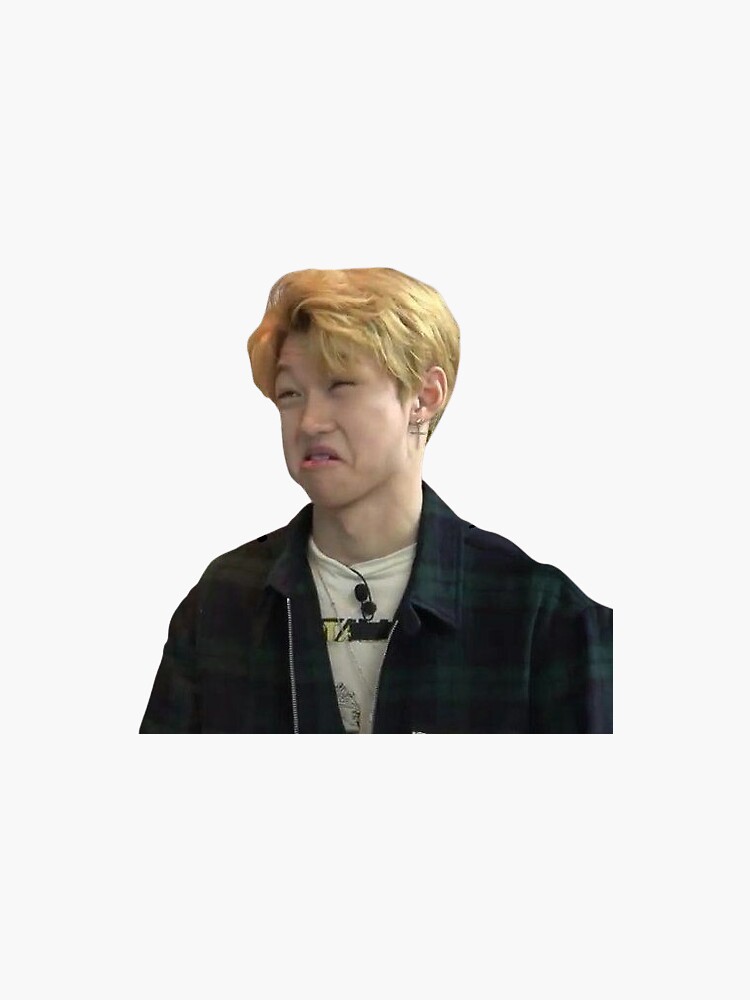 "Stray Kids Felix meme sticker" Sticker for Sale by borahae0613 | Redbubble