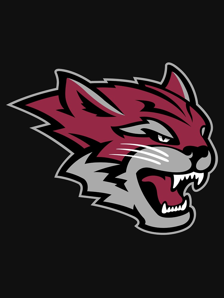 "Chico State Wildcats logo" T-shirt for Sale by AndreBonave | Redbubble ...
