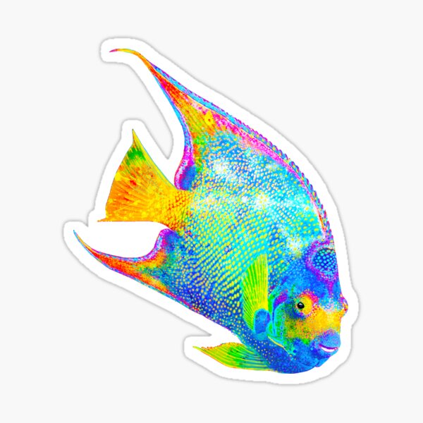 "Caribbean's Queen angelfish" Sticker for Sale by MSJstudio | Redbubble