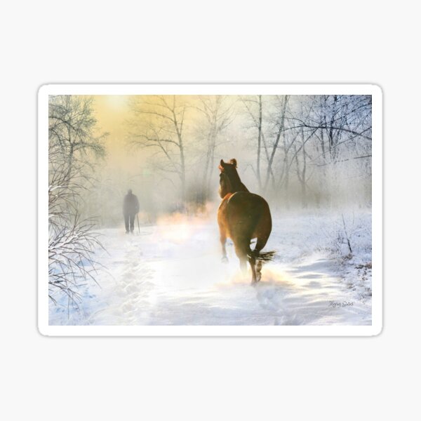 "Homeward Bound" Sticker for Sale by MoragBates | Redbubble